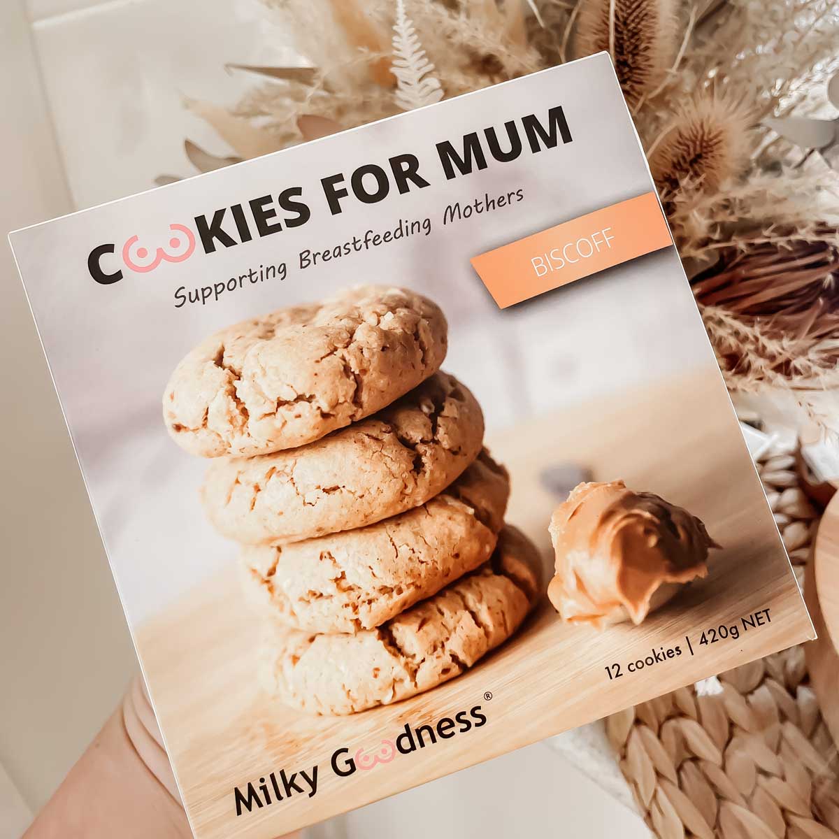 Lactation Cookies - Biscoff | Milky Goodness – OH MIA BAMBINA