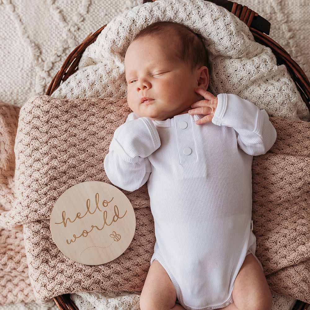 Busy Bee Monthly Milestone Plaques | Timber Baby Milestone Discs – OH ...